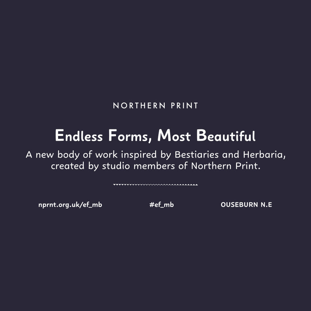 Welcome to Northern Print's online home – Northern Print Studio