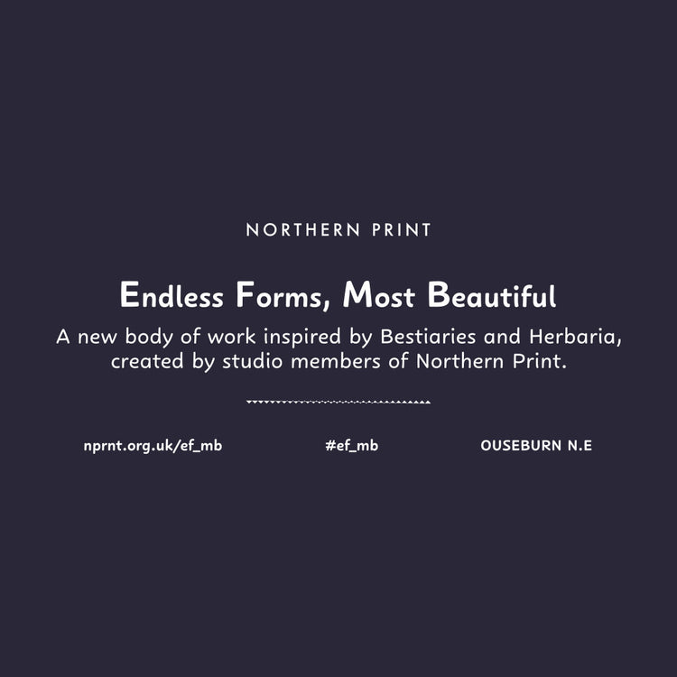Welcome to Northern Print's online home – Northern Print Studio