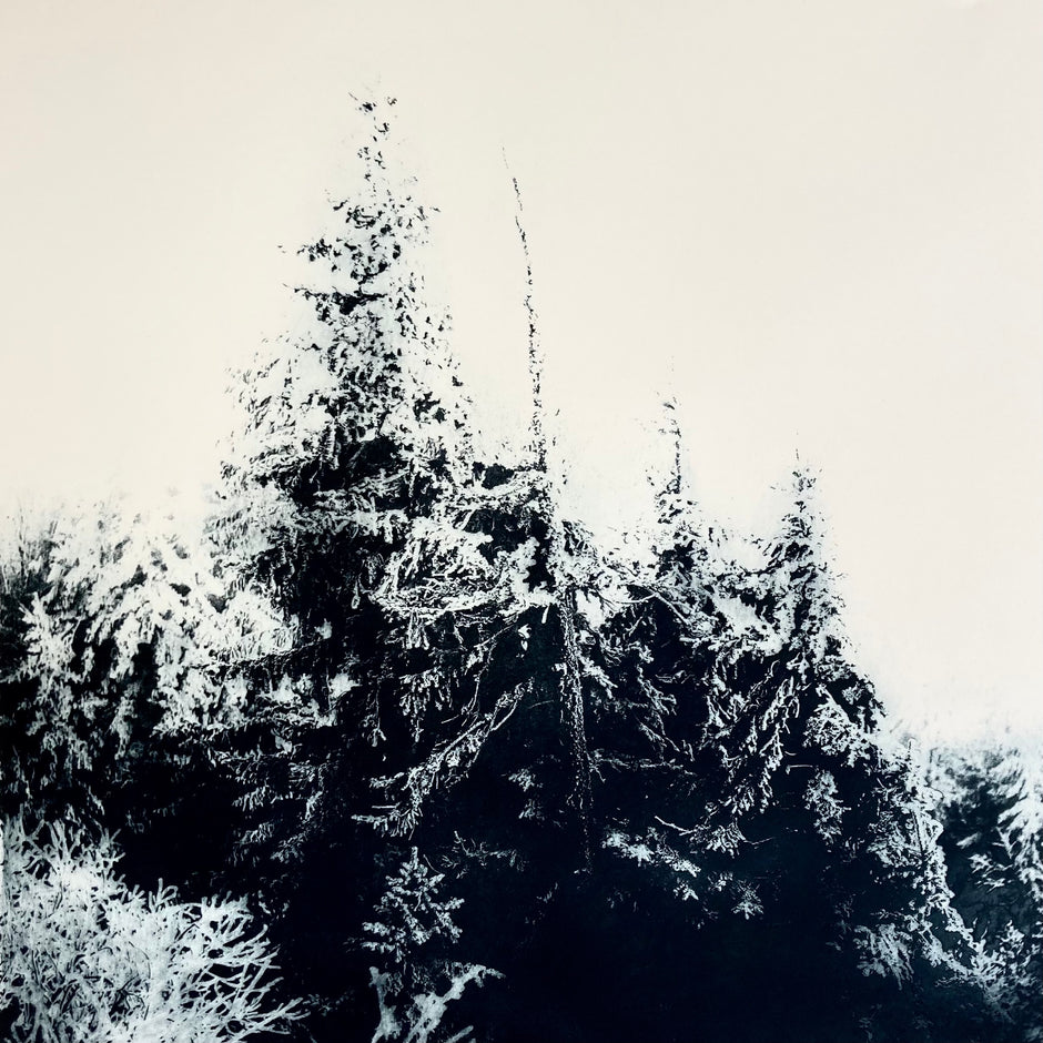 Sarah Duncan – Northern Print Studio